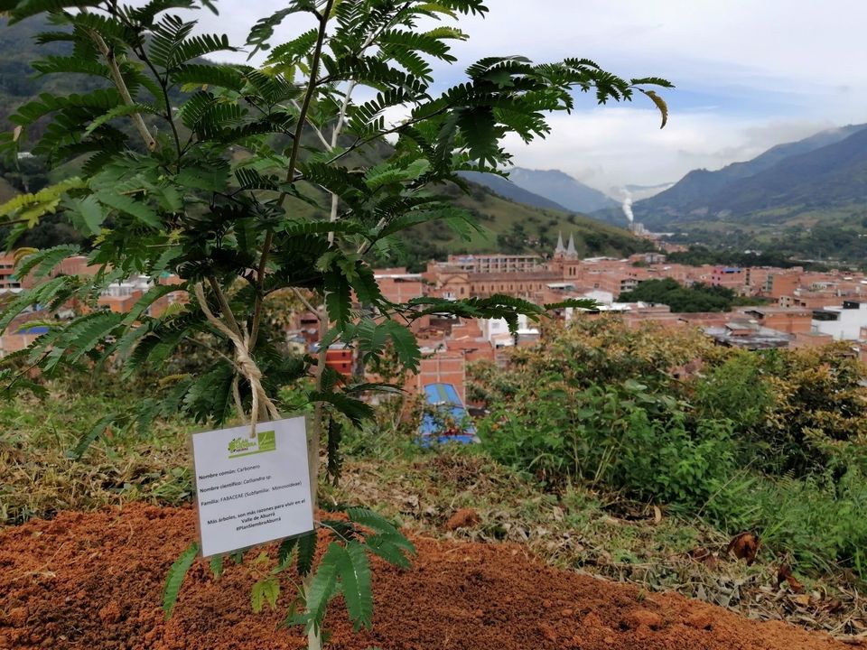 Barbosa tiene nuevas zonas verdes. » Antioquia Crítica